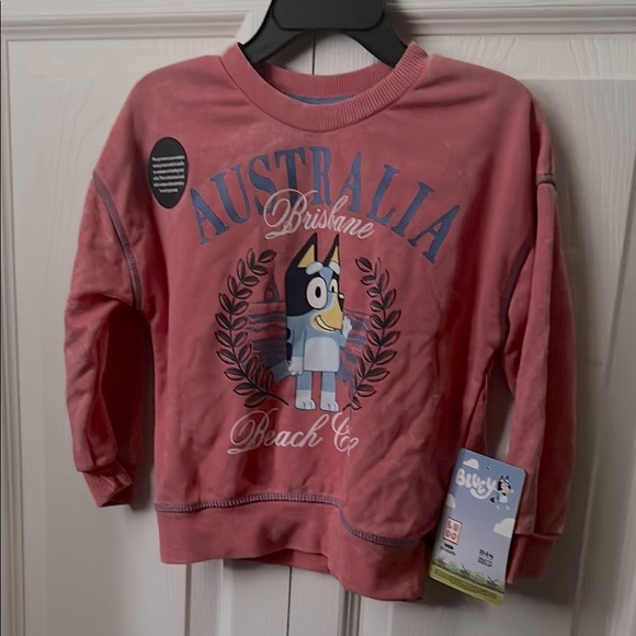 Bluey | Shirts & Tops | Bluey Crew Neck Hoodie | Poshmark